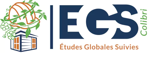 Expert en rénovation pour un environnement durable- EGS Colibri
